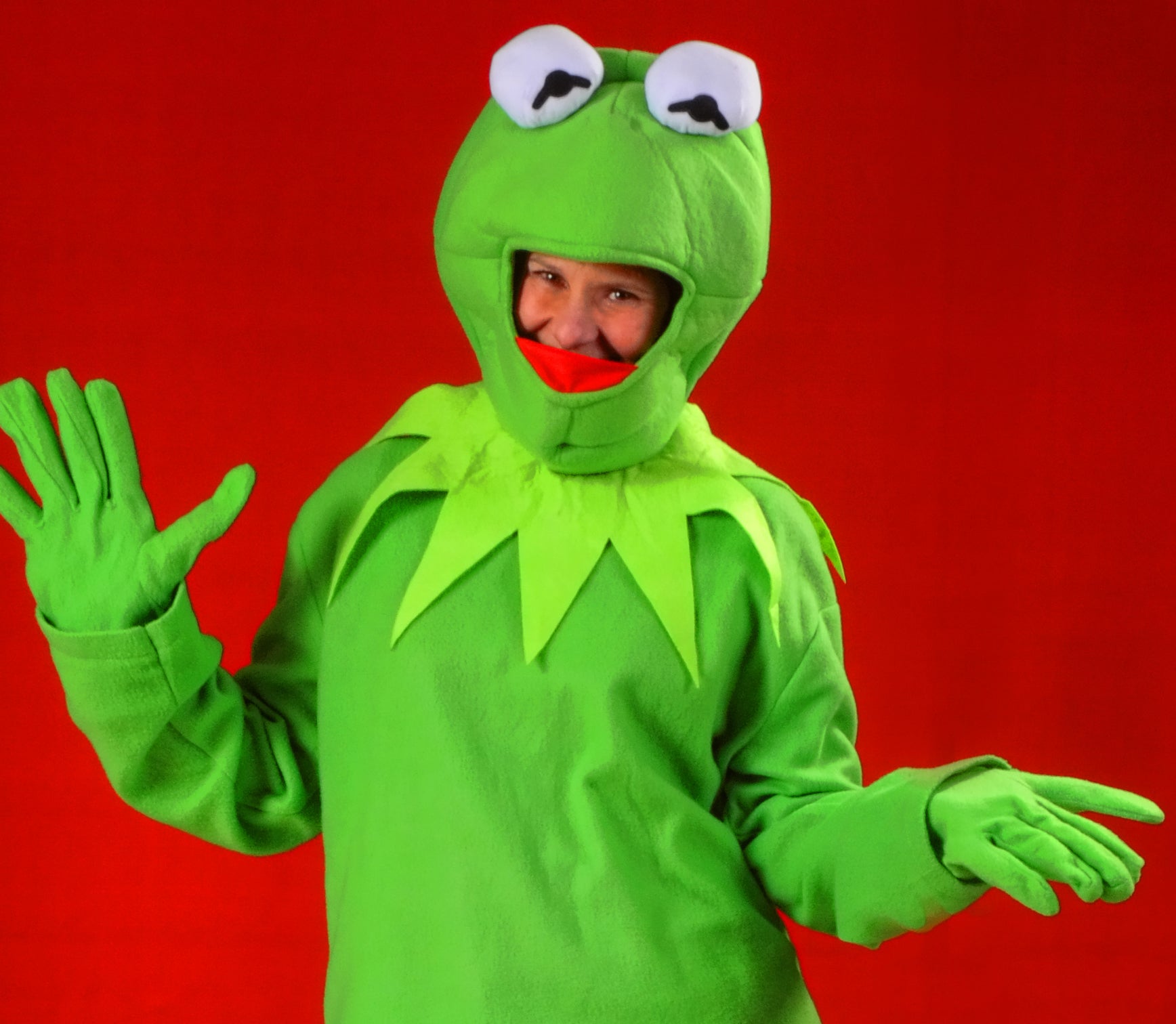 kermit frog mask